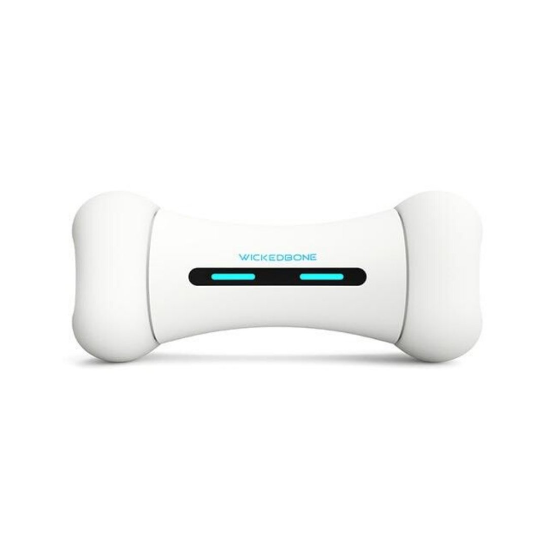 Wickedbone - Interactive Moving Dog Bone